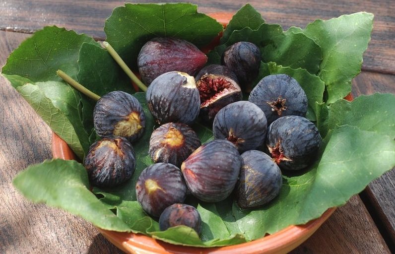 Les figues