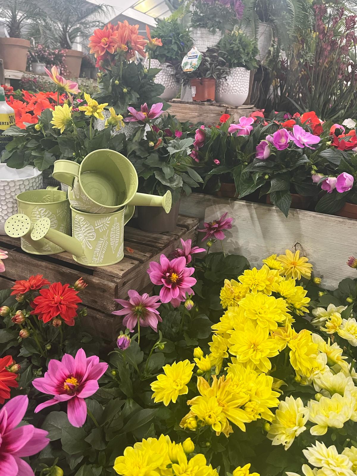 Rep la primavera amb Jardiland Sant Cugat