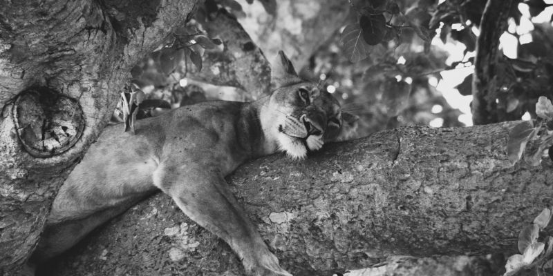 El concurs TOT Fotoportada repartirà més de 8.000€ en premis