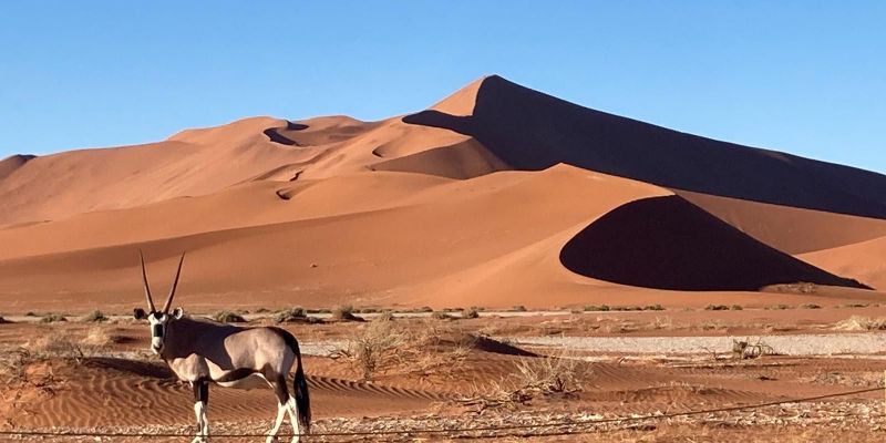 El TOT Fotoportada tanca amb un miler de fotografies rebudes